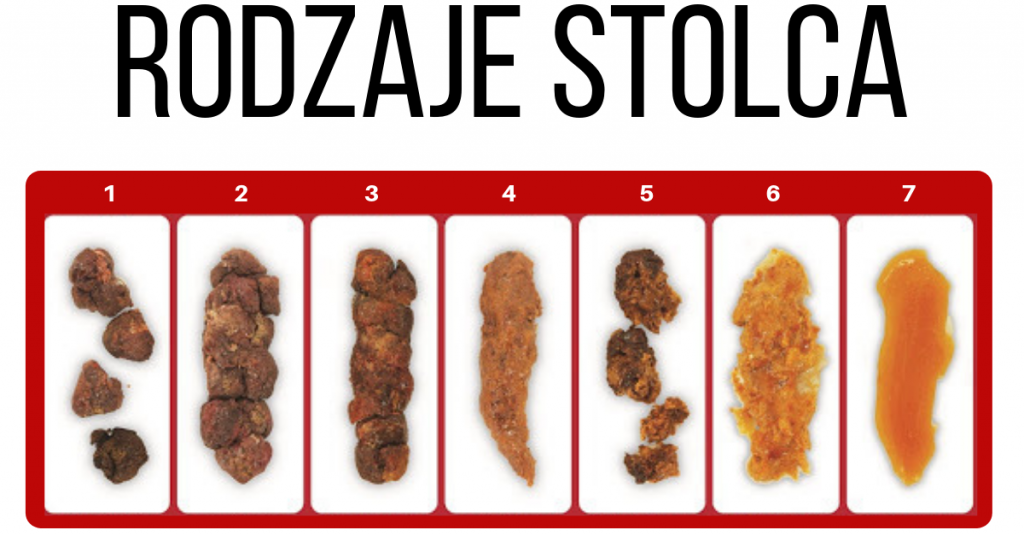 Jak działa jelito? Funkcje, odżywianie, rodzaje stolca – Motywator ...