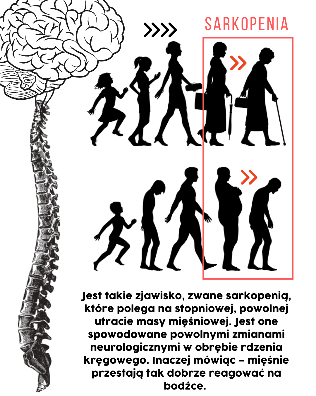 Dlaczego twój metabolizm spowalnia się z wiekiem? Jak go przyspieszyć ...