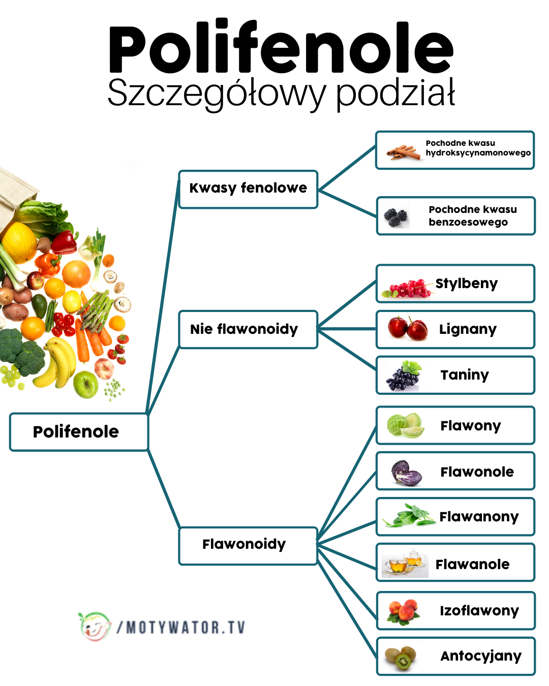 Co to są polifenole? Rodzaje, korzyści i źródła żywności. Szczegółowy ...