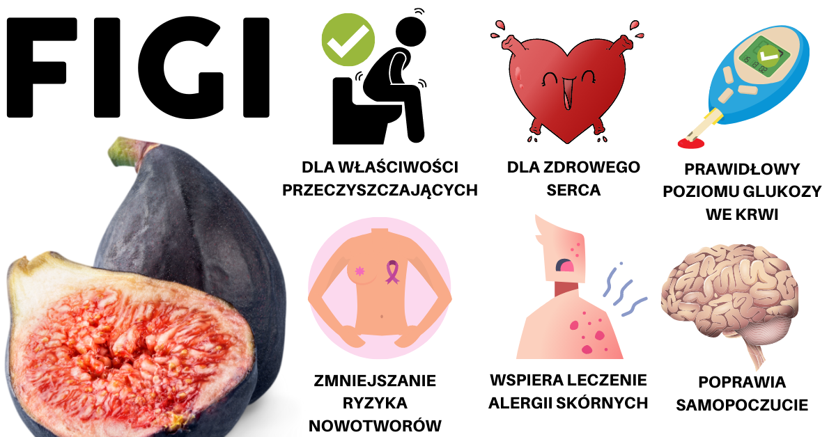 Figi – 8 zastosowań zdrowotnych. Wartości odżywcze – Motywator Dietetyczny