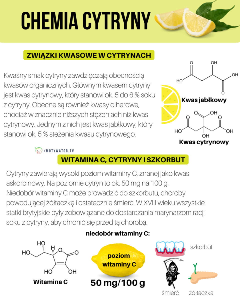 Dlaczego cytryna jest kwaśna? Co zawiera cytryna? – Motywator Dietetyczny