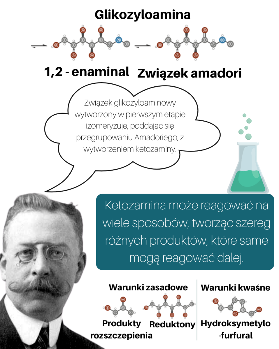 Reakcja Maillarda – dlaczego warto ją poznać? – Motywator Dietetyczny