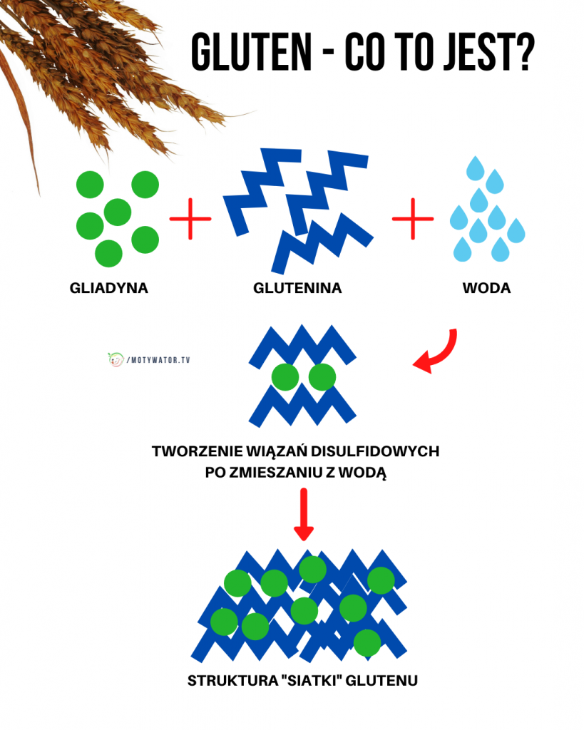Celiakia – diagnostyka, przyczyny, objawy i leczenie – Motywator ...