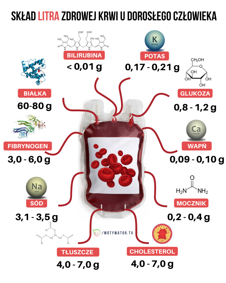 To badanie pokaże czy twoje ciało jest zdrowe. Morfologia krwi – jakie ...