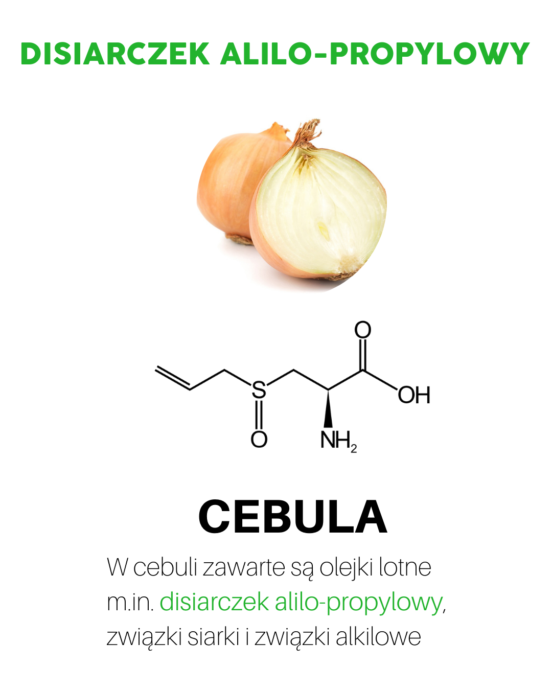 9 Imponujące korzyści zdrowotne płynących z jedzenia cebuli – Motywator ...