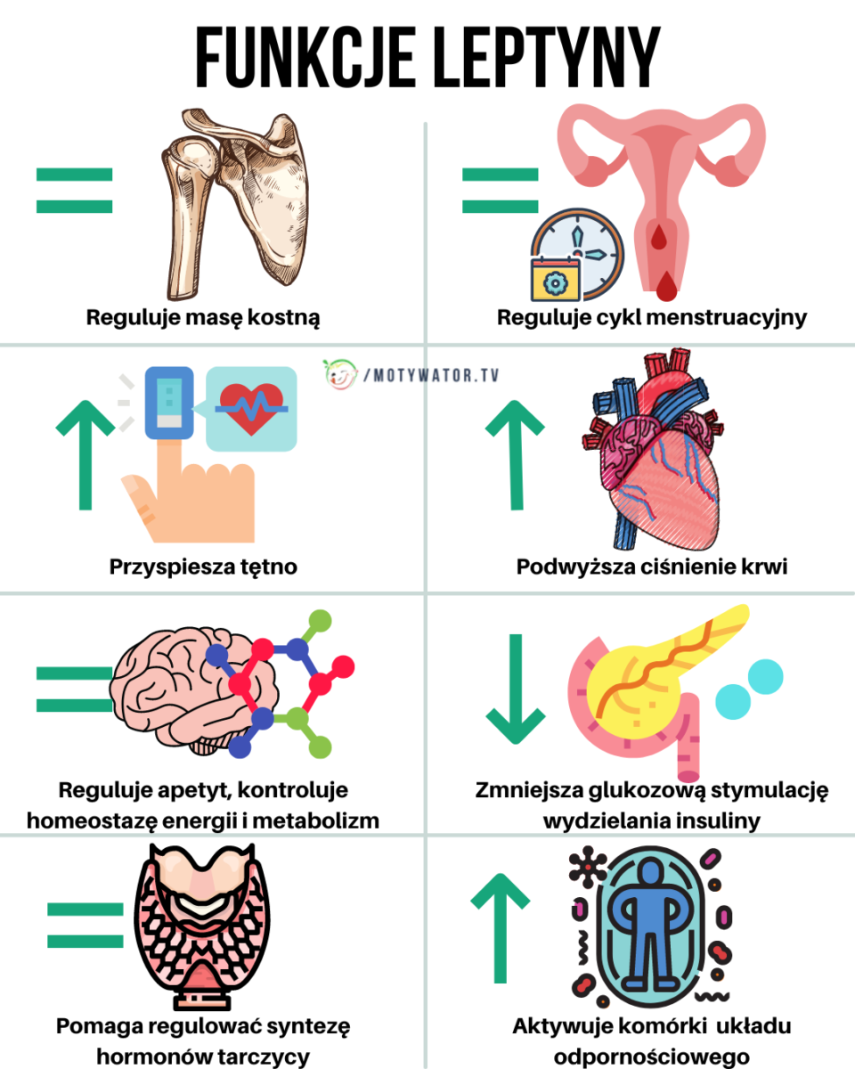 Jak uregulować hormony, by działały na korzyść Twojej sylwetki i ...